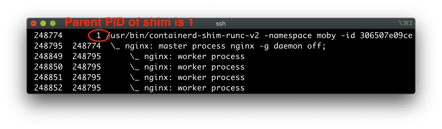 Containers 101 Attach Vs Exec What s The Difference 